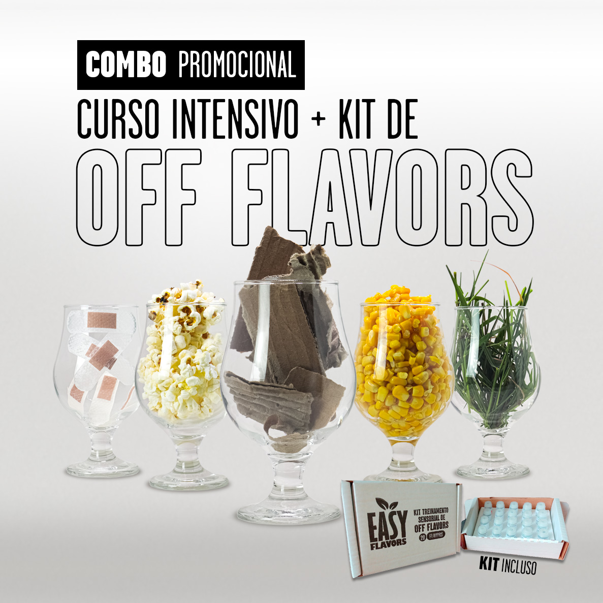 Kit Off Flavors com 20 flavors Fracionados em 5ml. - Cerveja Fácil